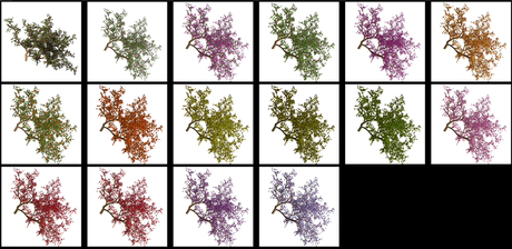 Second Life Marketplace - TRU Textures Ltd - 16 x Tree Top Textures ...
