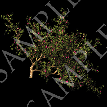 Second Life Marketplace - TRU Textures Ltd - 16 x Tree Top Textures ...