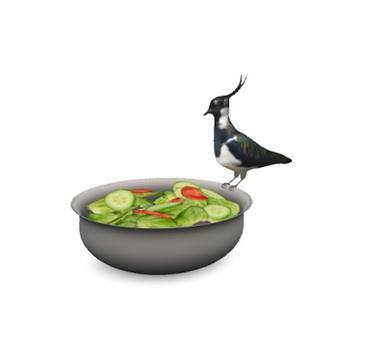 Second Life Marketplace - Northern lapwings Love Diving into Salad
