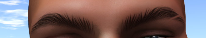 Second Life Marketplace - brows