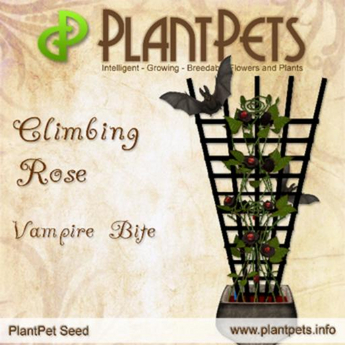Second Life Marketplace - PlantPet Seed [Climbing Rose *Vampire Bite*] Rare
