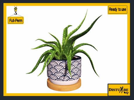 Second Life Marketplace - ::DisturbeD:: Aloe Vera Plant & Pot - FULL ...