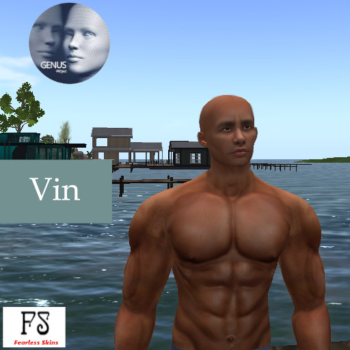 Second Life Marketplace - Vin Genus Strong Face Skin Applier