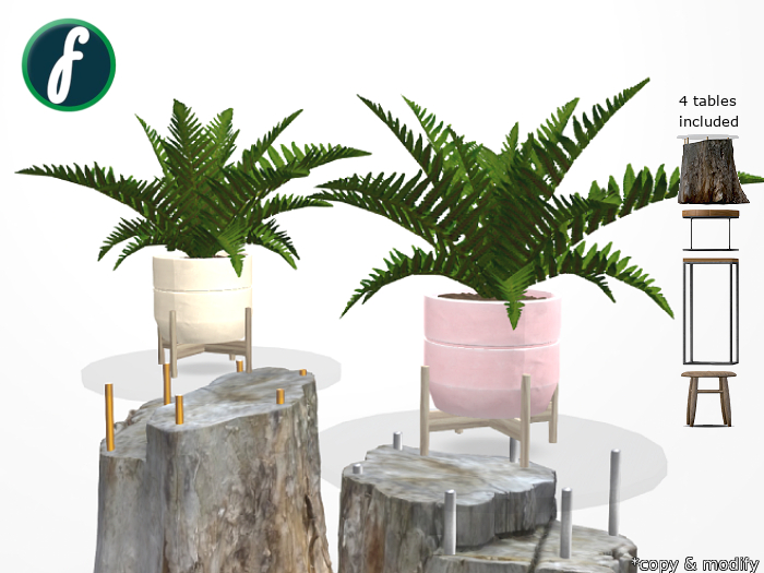 Second Life Marketplace Friller Potted Bird Nest Fern Plant