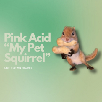 Second Life Marketplace - Pink Acid My Pet Squirrel Ash Brown Rare