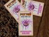 Second Life Marketplace - Potted: Spider Plant Seed: Gumdrops Galore
