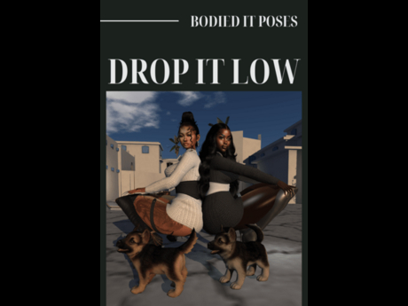 Second Life Marketplace - Drop It Low