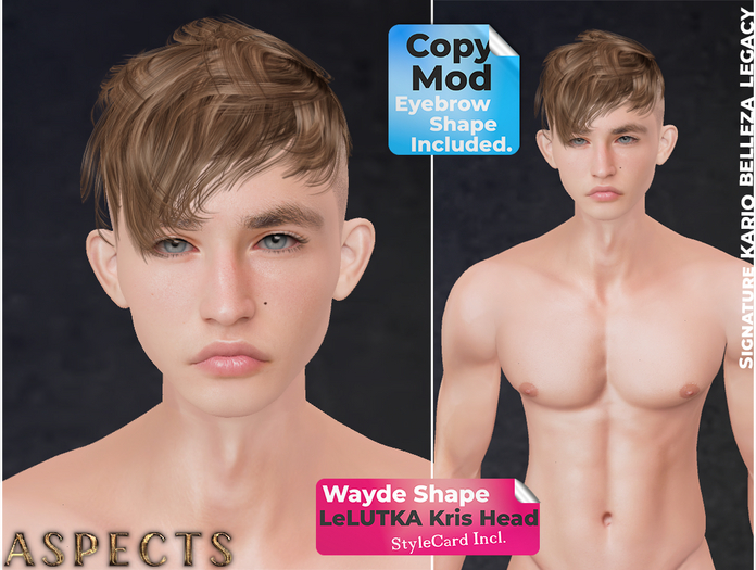 Second Life Marketplace - Aspects :Wayde shape: Lelutka Kris Head