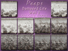 Second Life Marketplace - Peeps Textures Damaged City Wall 2