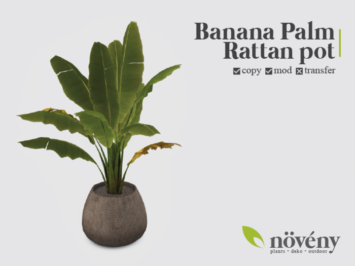 Second Life Marketplace - Noveny - Banana Palm Rattan pot - AddMe