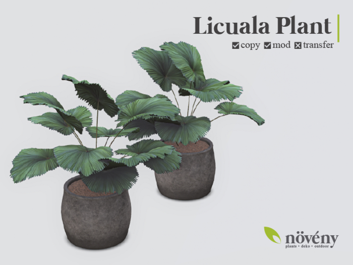 Second Life Marketplace - Noveny - Licuala Plant - AddMe