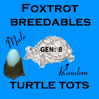 Second Life Marketplace - Turtle Male Gen: 8 (Breedable/Random)