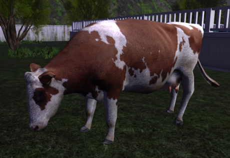 Second Life Marketplace - :SS: Simple Animesh Cow