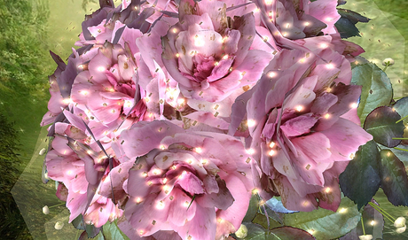 Second Life Marketplace - CJ Bear Surprise Box with Dozen Pink Roses Set
