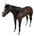 Second Life Marketplace - .:shamhat:. jericho character