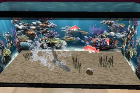 Second Life Marketplace - Coffee Table Fish Tank (boxed)
