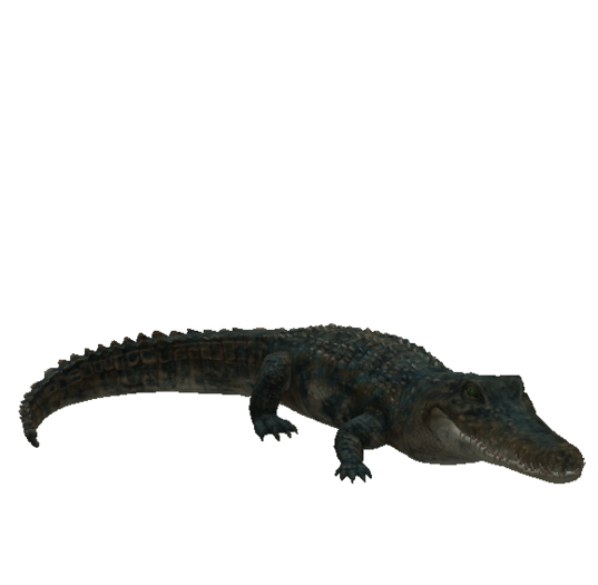 Second Life Marketplace - .:shamhat:. alligator character