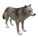 Second Life Marketplace - .:shamhat:. wolf character