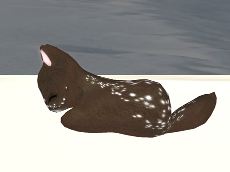 Second Life Marketplace - Stray Cats Kitten - Stray Kitty (F)