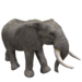 Second Life Marketplace - .:shamhat:. african elephant character