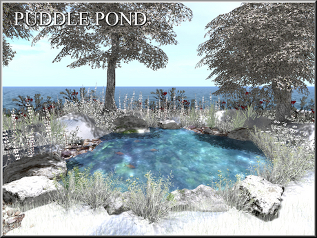 Second Life Marketplace - Garden|PuddlePondWint