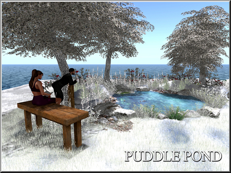 Second Life Marketplace - Garden|PuddlePondWint