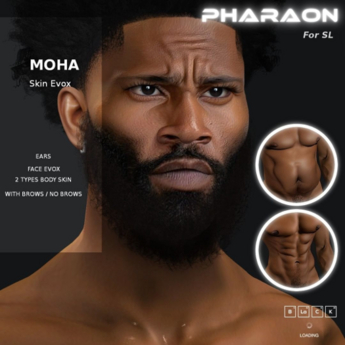 Second Life Marketplace - PHARAON - MOHA / Skin EvoX
