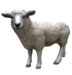 Second Life Marketplace - .:shamhat:. sheep character