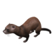 Second Life Marketplace - .:shamhat:. ferret character