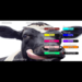 Second Life Marketplace - Rainbow Inc. Mystory HUD Style Cow 1