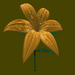Second Life Marketplace - Papillon Lilium Tier 3 Small/Dull Cranky