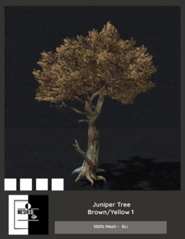 Second Life Marketplace - MeshedUp: Juniper Tree Brown/Yellow 1