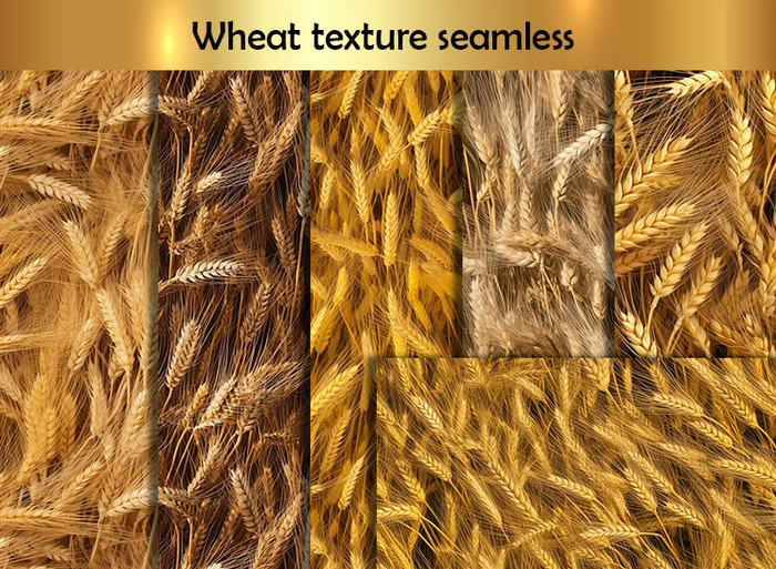 Second Life Marketplace - Wheat texture