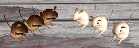 Second Life Marketplace - *RH* & DBS Sitting Mouse Sculpt & Texture Set ...