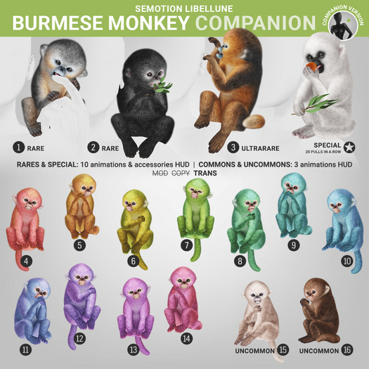 Second Life Marketplace - SEmotion Libellune Burmese Monkey Companion ...