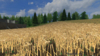 Second Life Marketplace - DFS Hay Seed V2.2