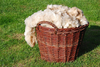 Second Life Marketplace - DFS Wool Basket