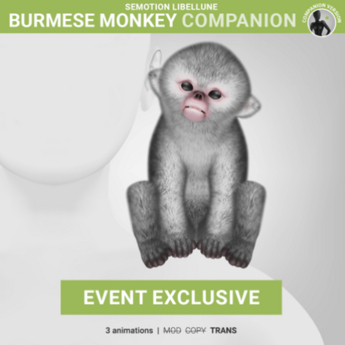 Second Life Marketplace - SEmotion Libellune Burmese Monkey Companion ...