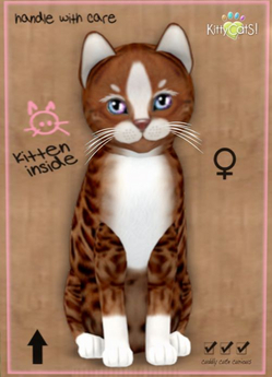 Second Life Marketplace - KittyCatS Box - Genesis - Ginger II - Female