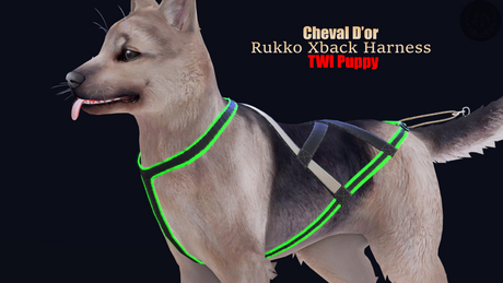 Second Life Marketplace - Cheval D'or / TWI Puppy / Rukko X-Back ...
