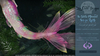Second Life Marketplace - Brine - The Sakura FATPACK Mermaid Tail for ...
