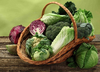 Second Life Marketplace - DFS Cabbage Basket 5 uses