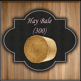 Second Life Marketplace - DFS Hay Bale (300)