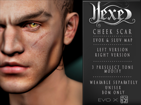 Second Life Marketplace - Hexed - Cheek Scar EvoX&SLUV Old Map Unisex