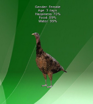 Second Life Marketplace - DFS Turkey Female age 3 days
