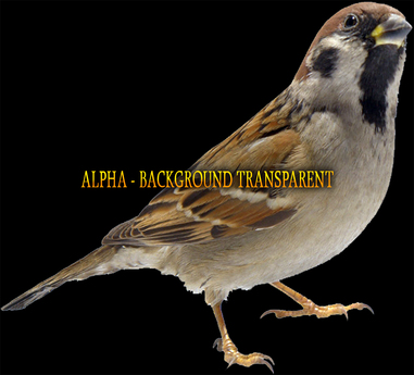 Second Life Marketplace - 30 BIRD TEXTURES (ALPHA - BACKGROUND ...