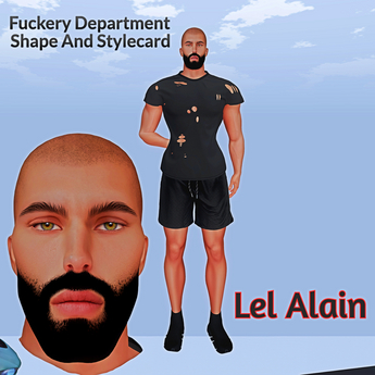 Second Life Marketplace - Dreamer Shape And Style Card