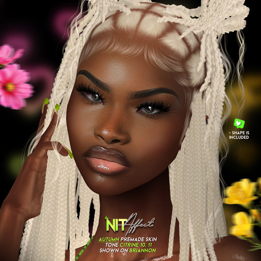 Second Life Marketplace - [Nit Affect] - Autumn Premade Skin (Evo X)