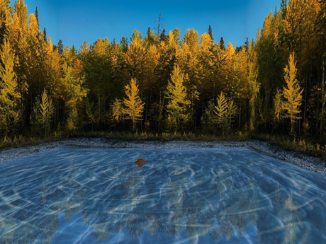 Second Life Marketplace - Autumn river Skybox