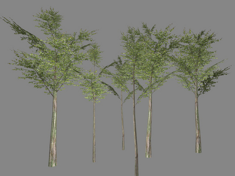 Second Life Marketplace - Trees - Low prim